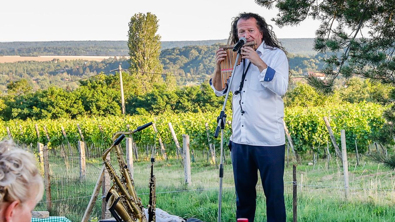 Finom borok és a lágy zene találkozása Kőszegen