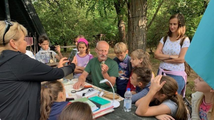 VAOL - Kevesebb fekete rigó, visszatérő erdei pinty