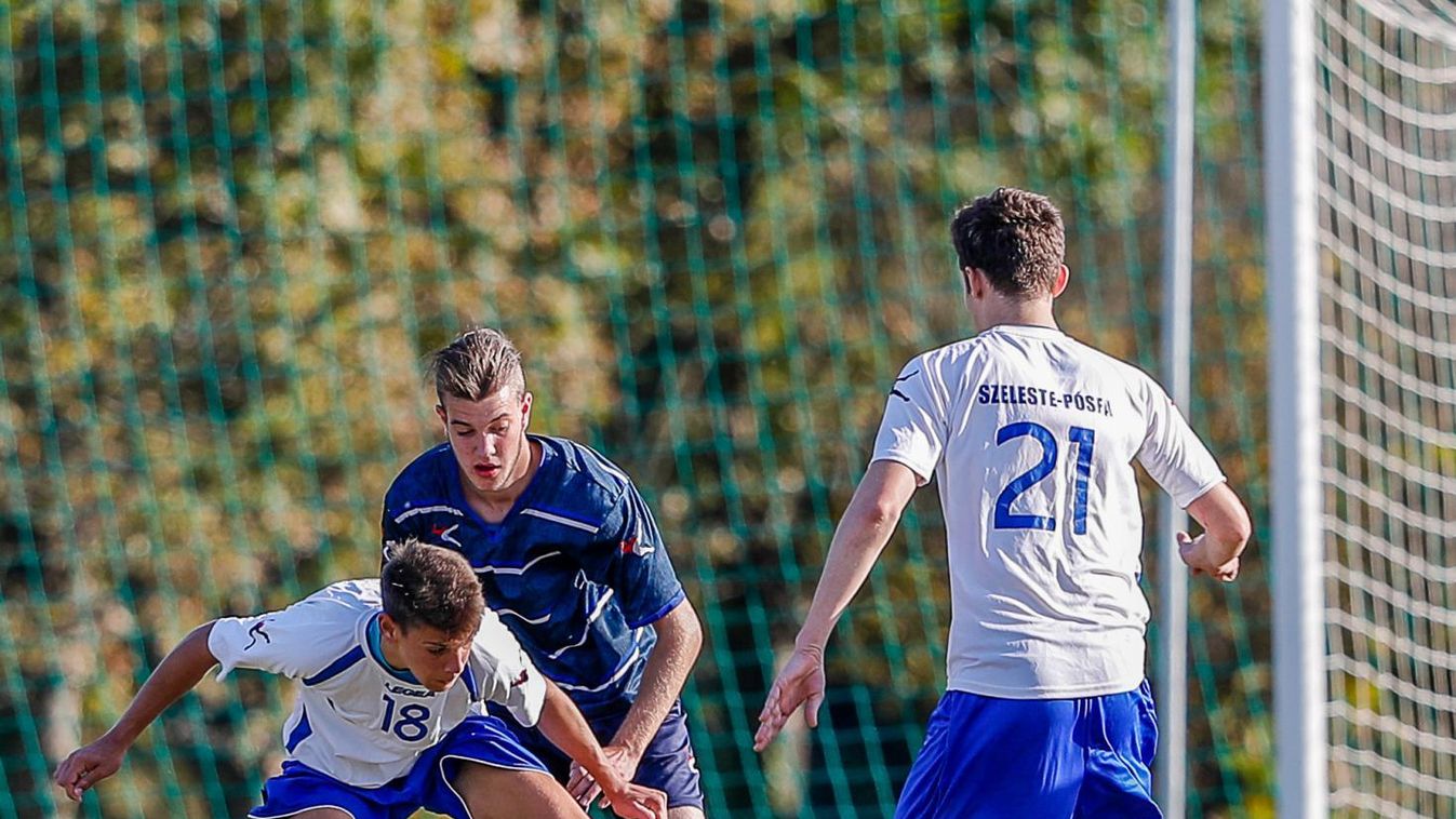 Elverte a Söpte a Sparit, a Szeleste a Bozsokot – meglepte a Táplán a ...