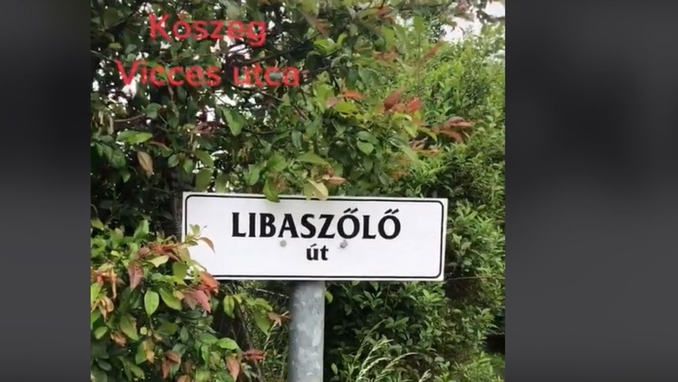 Libaszőlő út, Torkos sor, Futrinka utca – Keressük Vas megye vicces ...