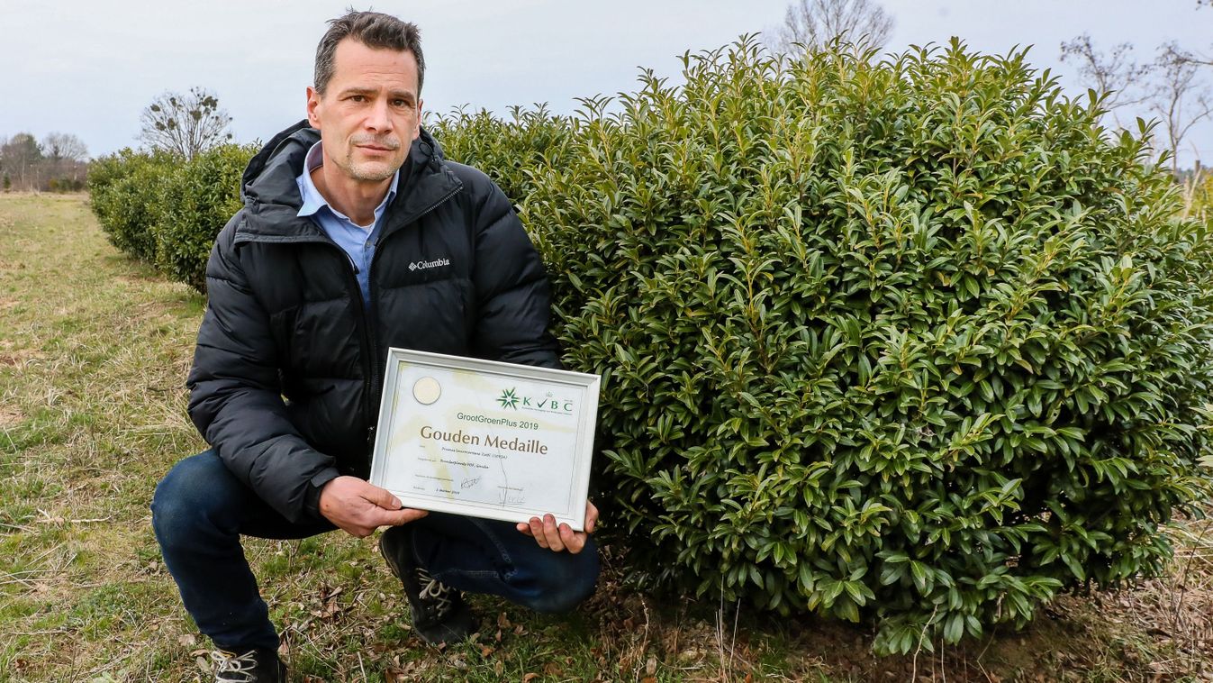 Nemzetközi versenyen nyert aranyérmet a Zsófi nevű babérmeggy – Németh Gábor növénynemesítőnek ...