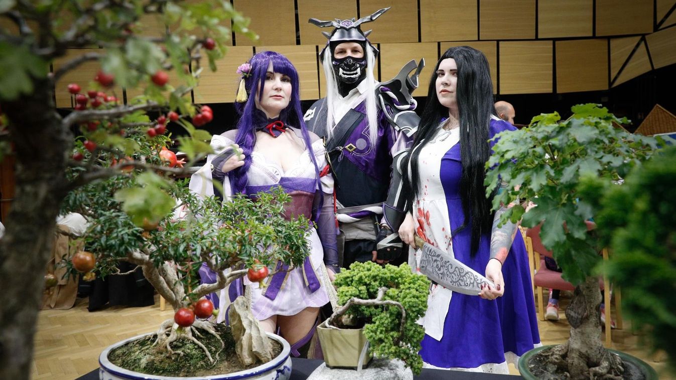 VAOL - Cosplay, matcha tea és gésafrizurák – a 15. Japán napot ...