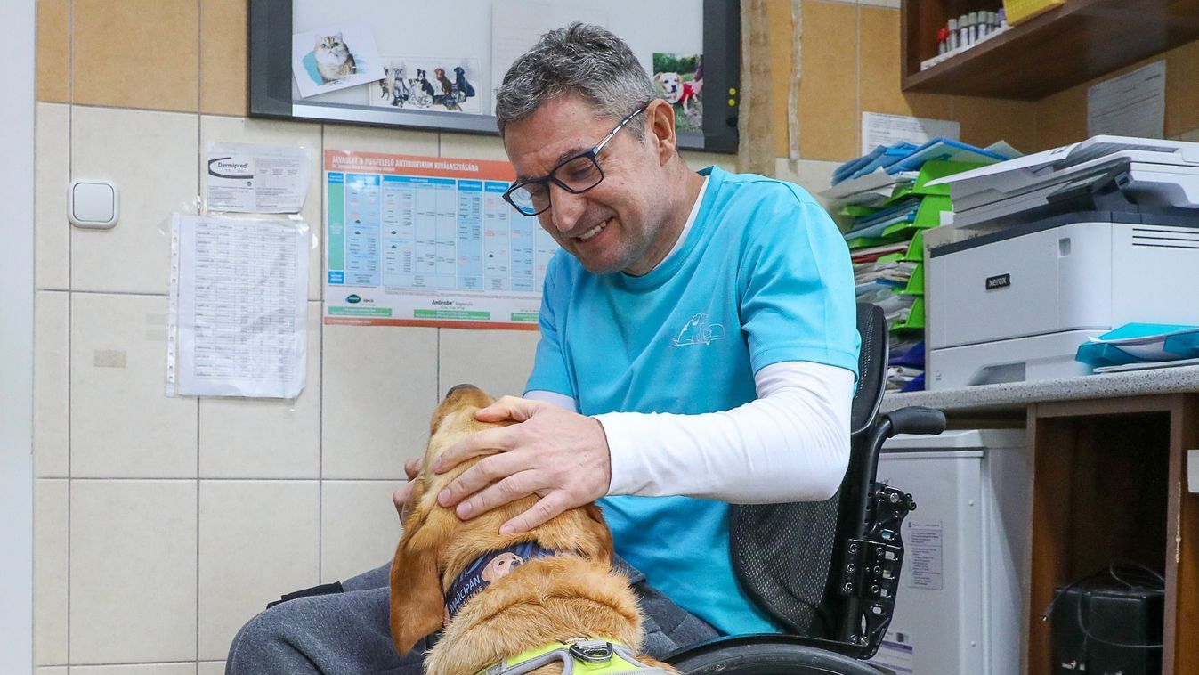 Dr. Varjú Gábor kendőzetlen őszinteséggel mesélt az intenzíven ...