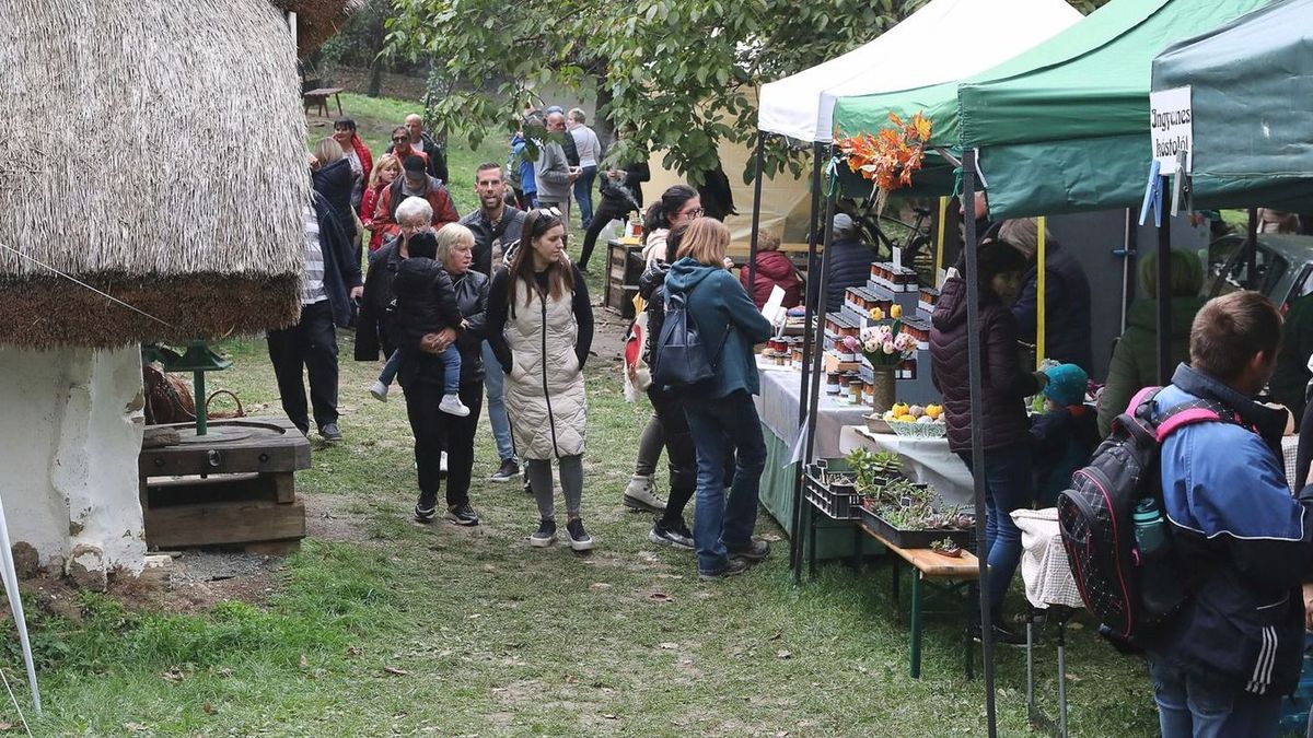 Cáki Gesztenyés Gasztro fesztivál - jön Cák legszínesebb őszi eseménye