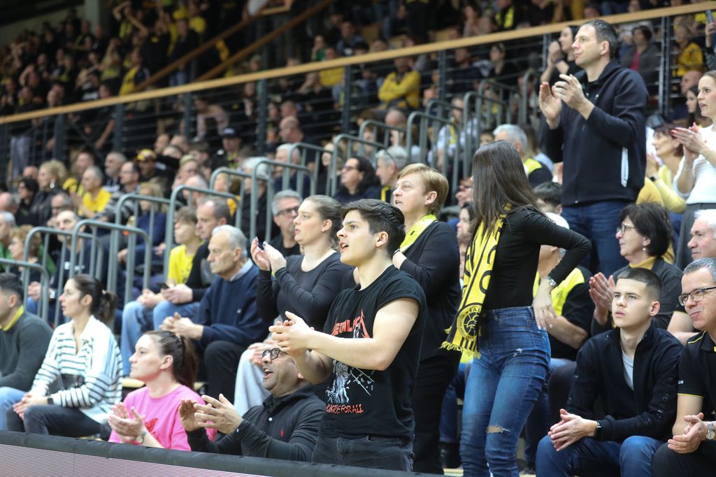 Az Alba ellen nyert rangadót a Falco KC - fotók