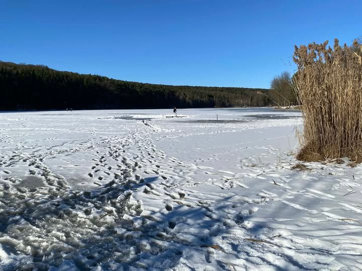 Veszély a Hársas-tónál: a polgármester is figyelmeztet