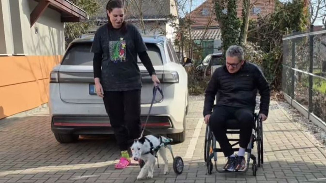 Megható pillanatok: Varjú Gábor és betege Marci kutyus együtt ...